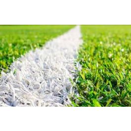 Sports Coatings Sports-Line AG For Artificial Grass | Promain.co.uk